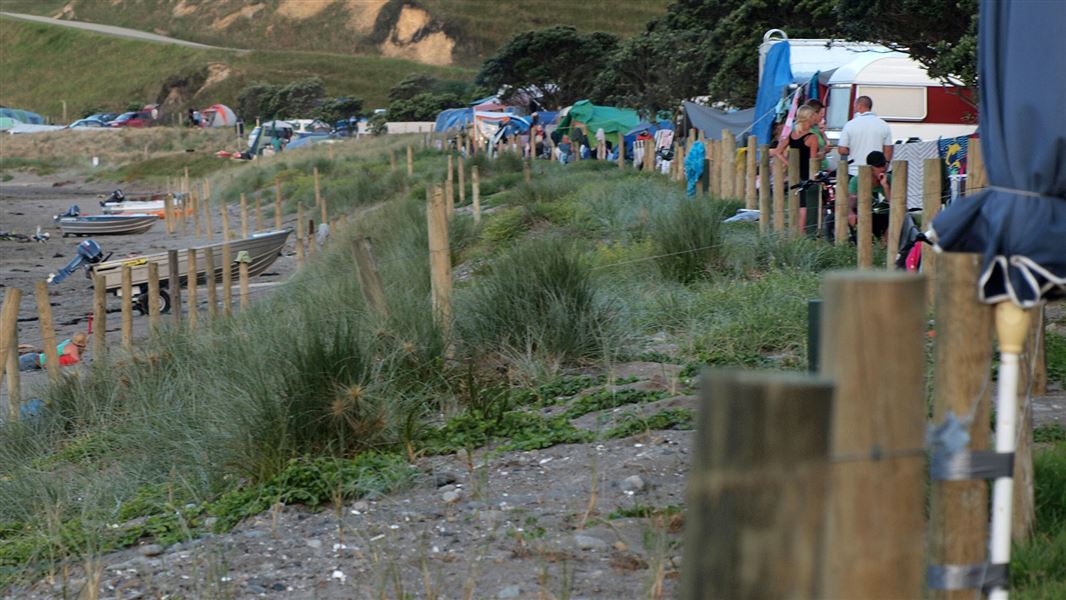 Port Jackson conservation campsite: Northern Coromandel, Coromandel region