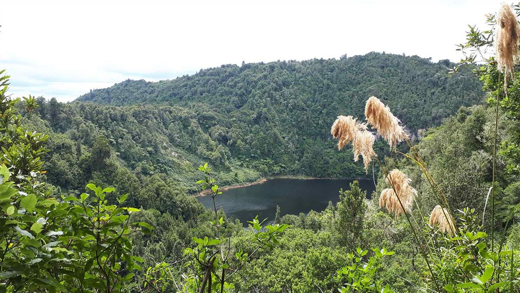 Lake Ōkataina walking tracks: Lake Ōkataina Scenic Reserve, Bay of ...