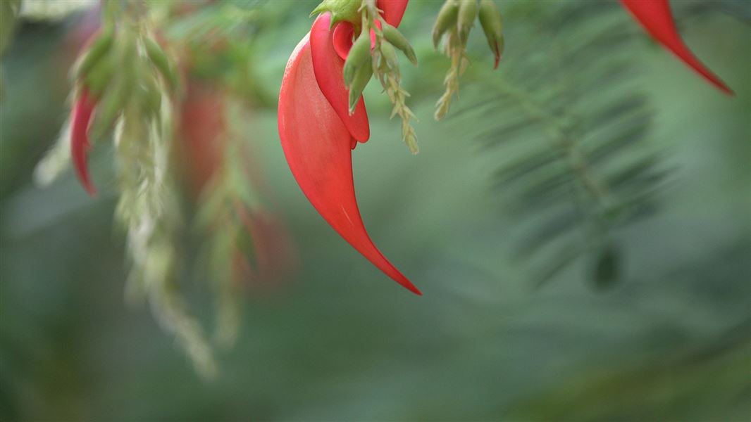 Department of Conservation