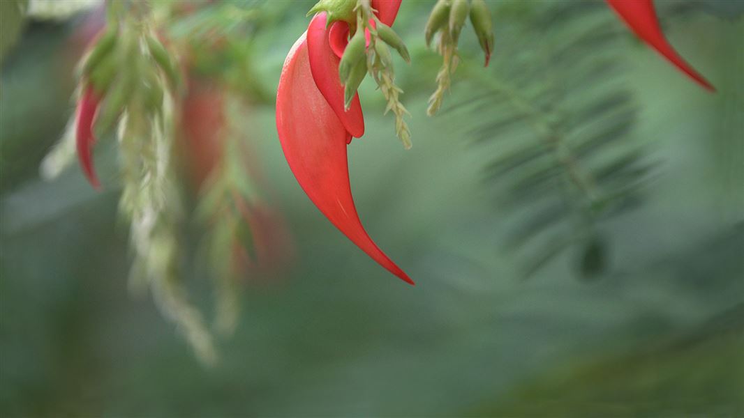 Department of Conservation