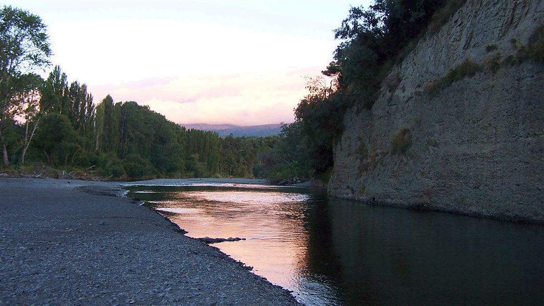 Pohangina Base: Ruahine Forest Park: Manawatu/Whanganui