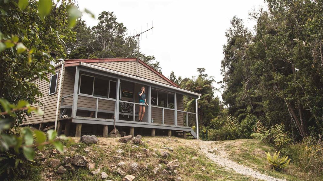 Lewis Hut: Kahurangi National Park, West Coast region
