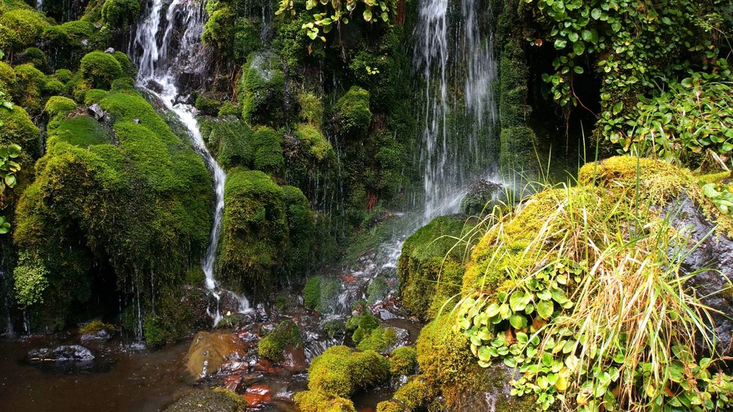 Waitonga Falls Track: Tongariro National Park, Central North Island region