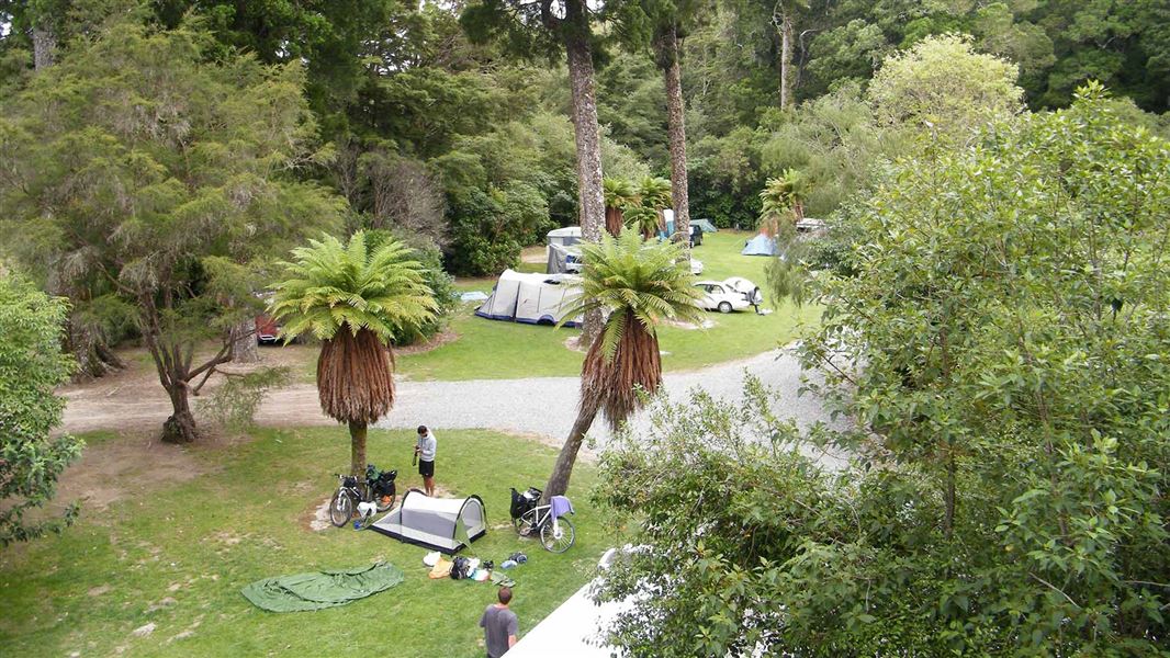 Pelorus Bridge conservation campsite: Pelorus Bridge Scenic Reserve ...