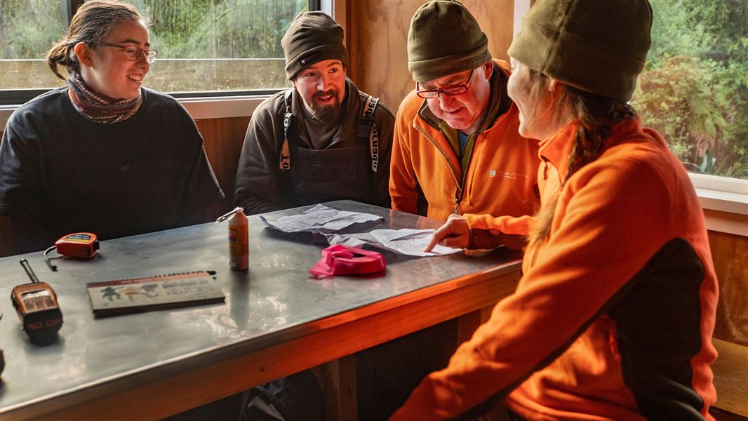 Work for nature this summer | Mirage News