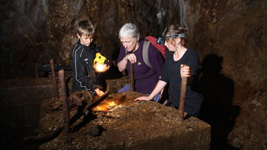 Windows Walk: Karangahake Gorge, Kaimai Mamaku Conservation Park, Bay ...