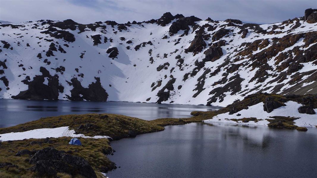Angelus Hut campsite: Nelson Lakes area conservation campsite
