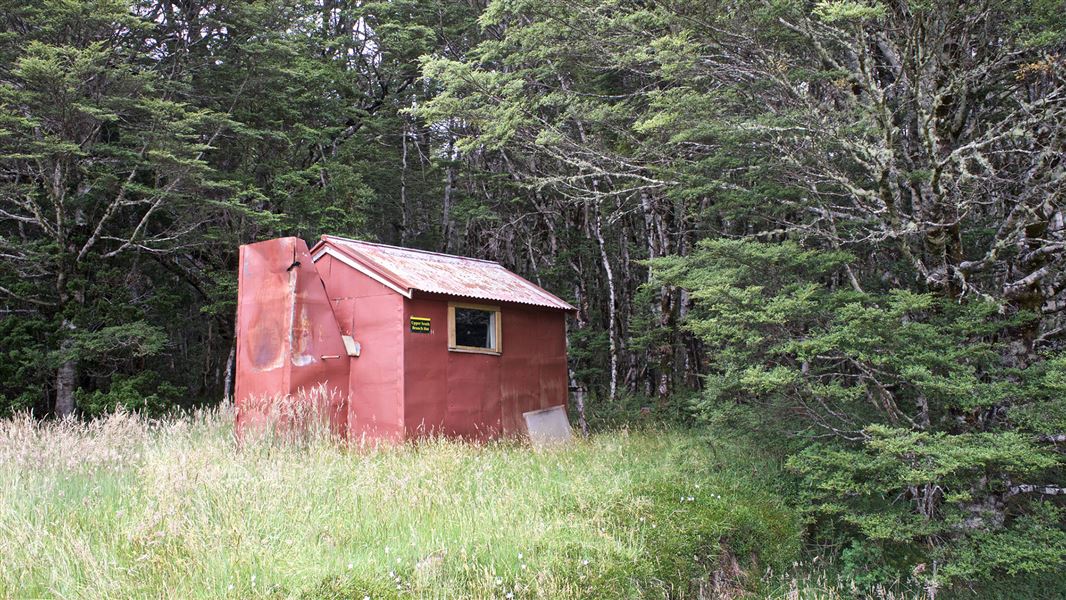 Upper South Branch Hurunui Hut: Lake Sumner Forest Park, Canterbury region