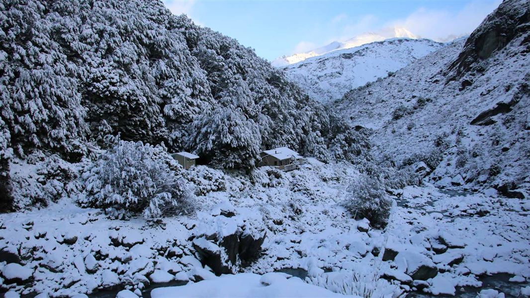Rees-Dart Track: Mount Aspiring National Park, Otago region