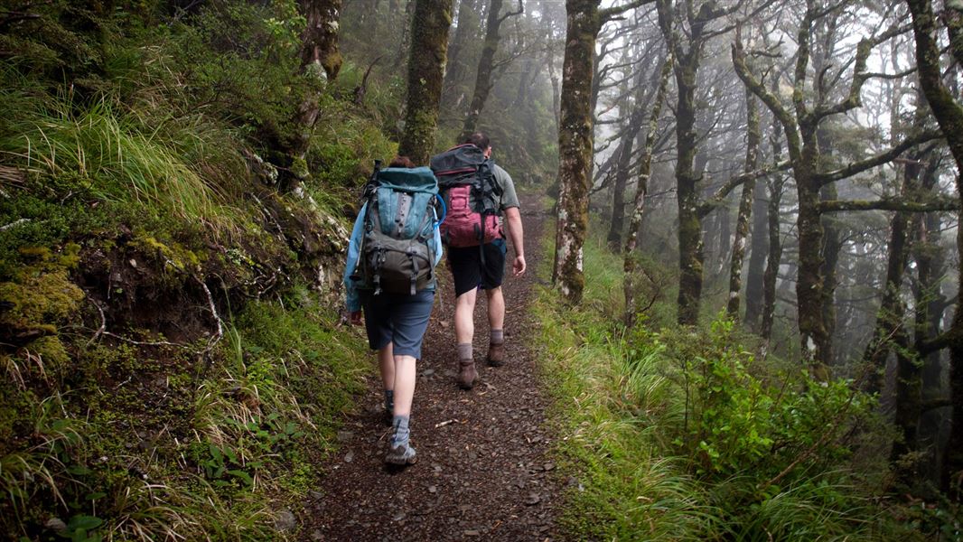 Sunrise Track: Ruahine Forest Park, Hawke's Bay region