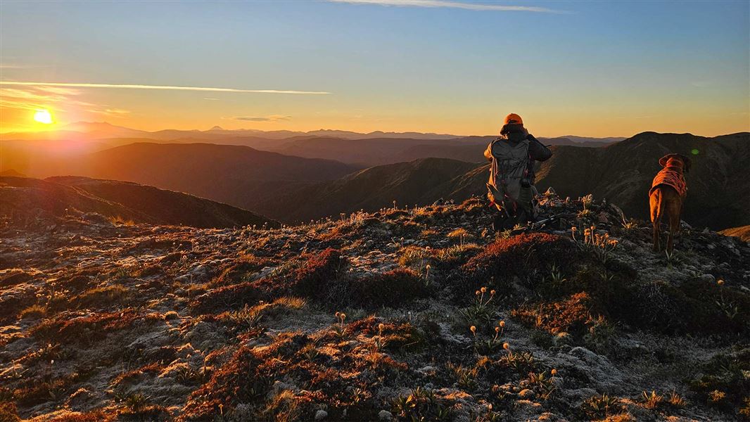 National Wild Goat Hunting Competition