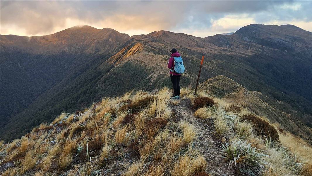 Walking and tramping: things to do