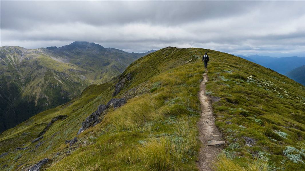 Alpine Nature Walk: Lewis Pass Scenic Reserve, West Coast region