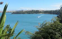 Motuihe island volunteering