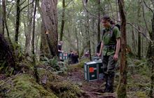 Translocation: moving animals and plants
