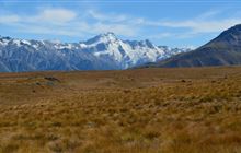 Gamack hunting block: Mackenzie Country and Waitaki hunting: Canterbury
