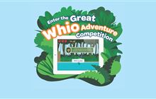 Blue duck/whio: Wetland and river birds