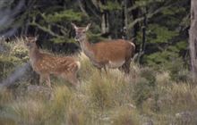 Our policies, plans and procedures: About us