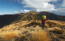 Our purpose, work and culture: Jobs at DOC