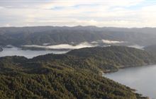 Marauiti Hut: Te Urewera, East Coast region