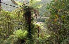 Parawai Lodge: Tararua Forest Park, Kapiti region