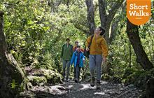 Walking and tramping: things to do