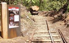 Waitawheta Hut: Kaimai Mamaku Conservation Park, Bay of Plenty region