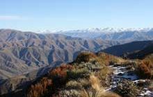 Peel Forest Park Scenic Reserve: Places to go in Canterbury