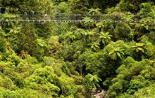 Mountain biking: Things to do