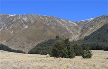 Bush Hut: Hāwea Conservation Park: Otago region