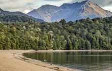 Kepler Track: Fiordland National Park, Fiordland region