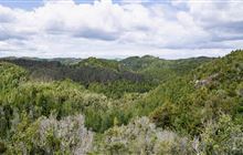 Waihāhā Hut: Pureora Forest Park, Waikato region