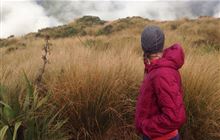 Top Tuke Hut: Mikonui River - Kakapotahi River area, West Coast region