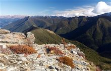 Old Man Hut: Mount Richmond Forest Park, Marlborough region