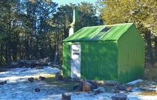 Bealey Spur Track: Walking and tramping in Arthur's Pass National Park