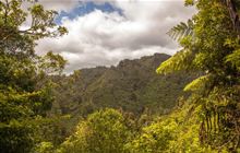 Wairarapa: Places to go