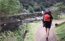 Dickey Flat conservation campsite: Kaimai Mamaku Conservation Park, Bay ...