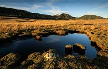 Lake Matiri Hut: Kahurangi National Park, Nelson/Tasman region